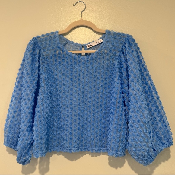 Zara | Tops | Zara Sheer Bishop Sleeve Blouse With Flower Appliqu ...